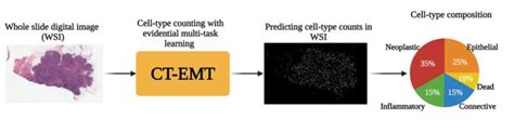 AI Powered Deep Learning Model Can Improve Cancer Diagnostics By Accurately Counting Cell Types