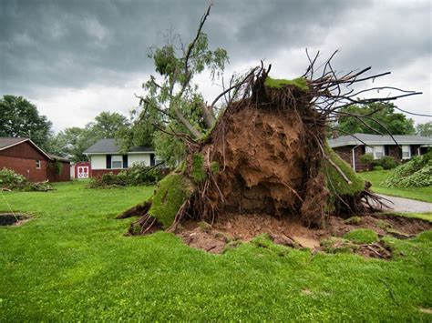 Landscaping For Natural Disasters Storm Resistant Landscapes And