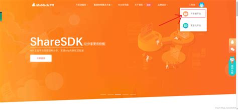 关于mobsdk引进问题 csdn博客