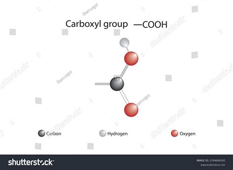 Molecular Formula Chemical Structure Carboxyl Group Stock Vector