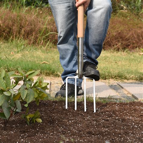 Garden Fork Uses Fasci Garden