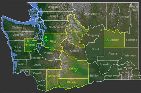 Sambucus Nigra Burke Herbarium Image Collection