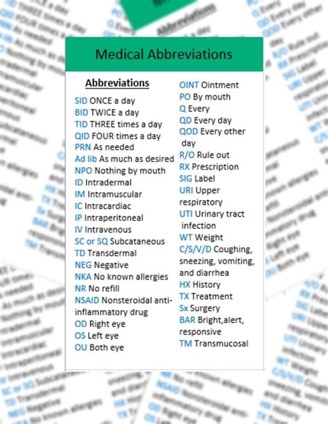 Vet Med Abbreviations I Love Veterinary Artofit