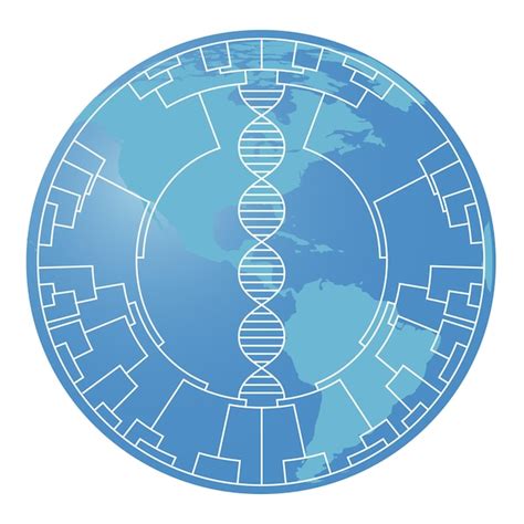 Premium Vector Phylogenetic Tree Science Vector Illustration Graphic