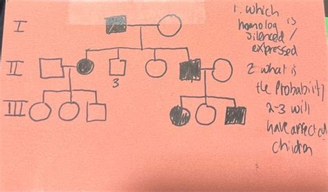 Bio Exam Flashcards Quizlet