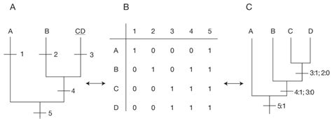 An Example Of A Transformational Approach In Biogeography Similar To