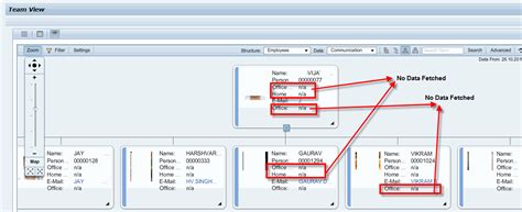 Solved Mss Team View Fields Shows No Data Sap Community