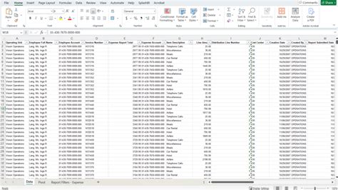 Expenses Ebs Reporting Oracle Erp Insights Splashbi
