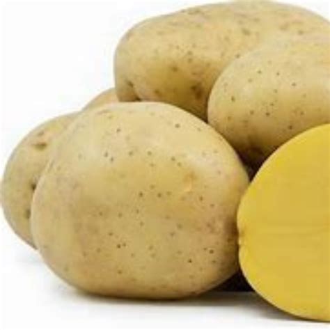 Potato Types Explained The Best Varieties For Every Recipe Everyday
