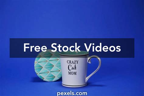 Crazy Mother Videos Download The Best Free 4k Stock Video Footage