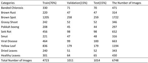 Pdf Data Efficient Vision Transformer Models For Robust