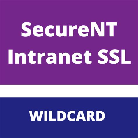 Securent Intranet Ssl Certificate Wildcard At ₹ 20000year In Mumbai