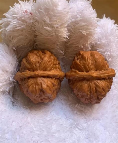 Wenwan Walnut Variety Toad Head Imedia