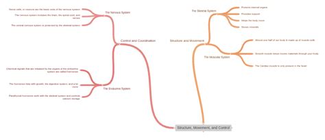 Structure Movement And Control Coggle Diagram