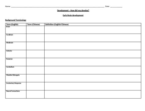 Brain Development Teminology Pdf