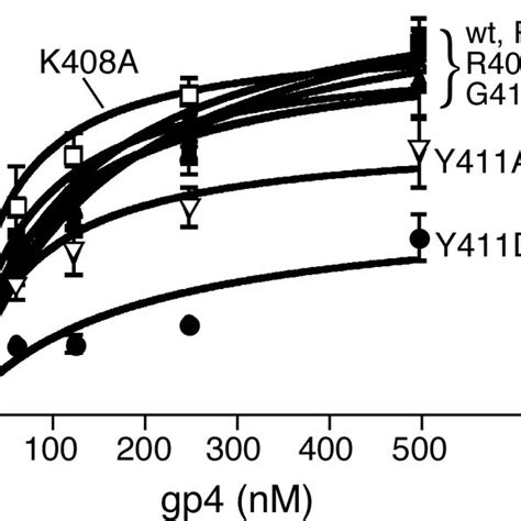 Ssdna Binding Affinity Of Gene 4 Protein Binding Affinity Of Gene 4