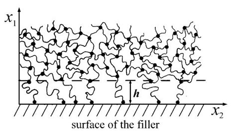 Structural Model Of The Interphase Layer Elastic Properties Of The