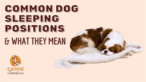 Couple Sleeping Positions And What They Mean