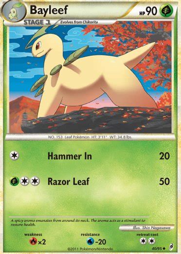 Bayleef Card Prices And Value 2026 14 Cards Ranked