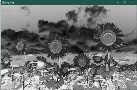 OpenCV Learning Image Special Effects Programmer Sought