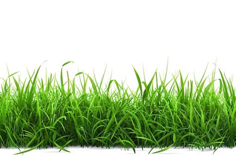 Premium Photo Realistic Green Grass Field Isolated On White Background
