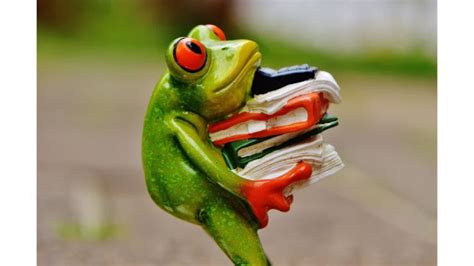 Fear And Anxiety Driven Management Decisions Itweb