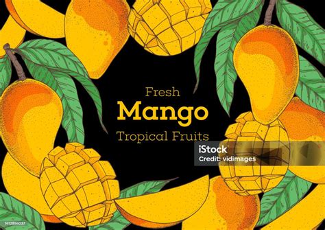 망고 과일 손으로 그린 패키지 디자인 벡터 그림입니다 디자인 패키지 브로셔 일러스트레이션 망고 프레임 일러스트레이션 포장 설계에