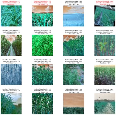 GitHub D Ath Add R Crops Image Classifcation We Will Develop A A Crops Image Classifier Based