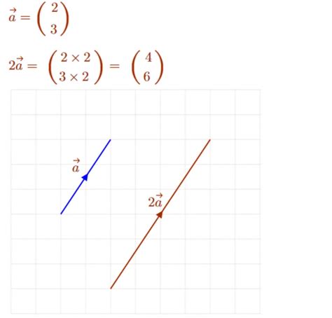Vectors Maths Definitions All Properties Explained