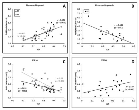 Growth Rate Controls Mrna Turnover In Steady And Non Steady States Pmc