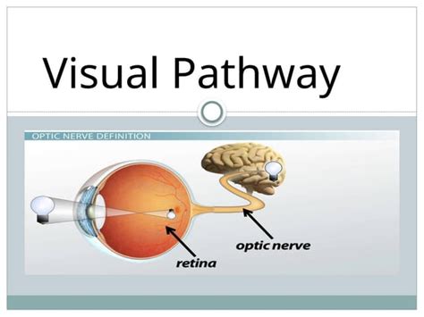 Hypopyon Vs Hyphema Pptx