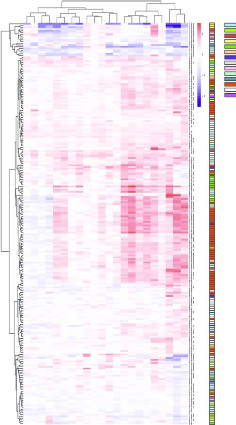Heat Map Of The Common Genes With Altered Expression Of Natural Download Scientific Diagram