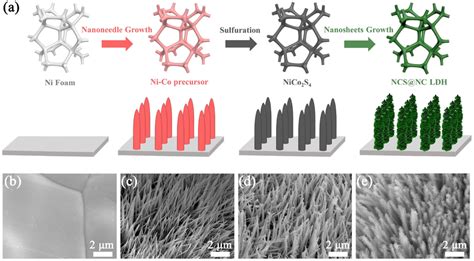 A Schematic Diagram Of The Synthetic Route Of The Ncs Nc Ldh Download Scientific Diagram