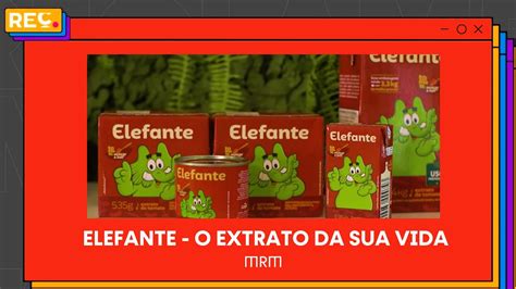 Making Of Elefante O Extrato Da Sua Vida Mrm Youtube