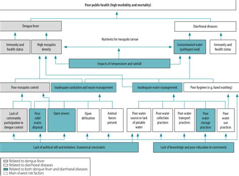 Problem Analysis Of The Determinants Of Dengue And Diarrhoeal Diseases Download Scientific Diagram