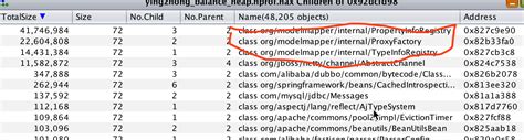 Memory Leak Issue Modelmapper Modelmapper GitHub