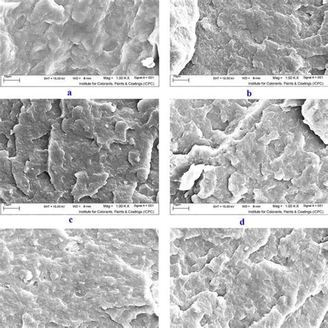 A Sem Micrographs Of Pp And Its Formulations With Nanoclay A Pp