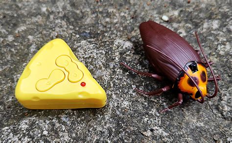Tipmant Mini Rc Cockroach Toy Remote Control Roach Insect Realistic Simulation