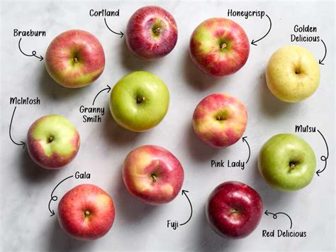 12 Types Of Apples Every Apple Lover Should Know About From Tart To