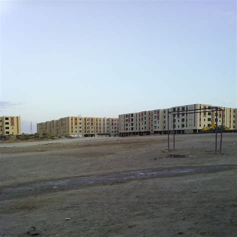 مصريون في الجزائر