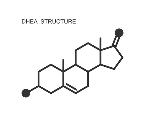 Dhea Icon Dehydroepiandrosterone Hormone Chemical Molecular Structure Sign 18878232 Vector Art