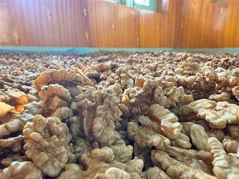 Premium Walnut Giri 250g 499inr Jaivik Bhai Freshfoods Llp