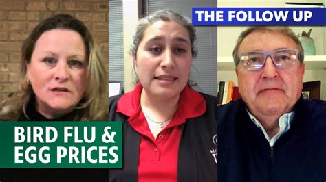 Bird Flu And Egg Prices