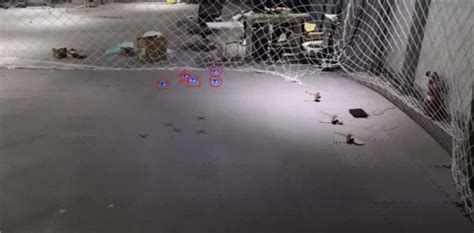 motion capture showcases nokov