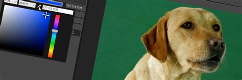 How To Use The Chroma Keyer Garbage Mattes And Luminance Masks