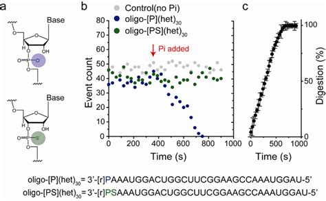 Monitoring Pnpase Digestion Of Ssrna With A Nanopore A Chemical Download Scientific Diagram