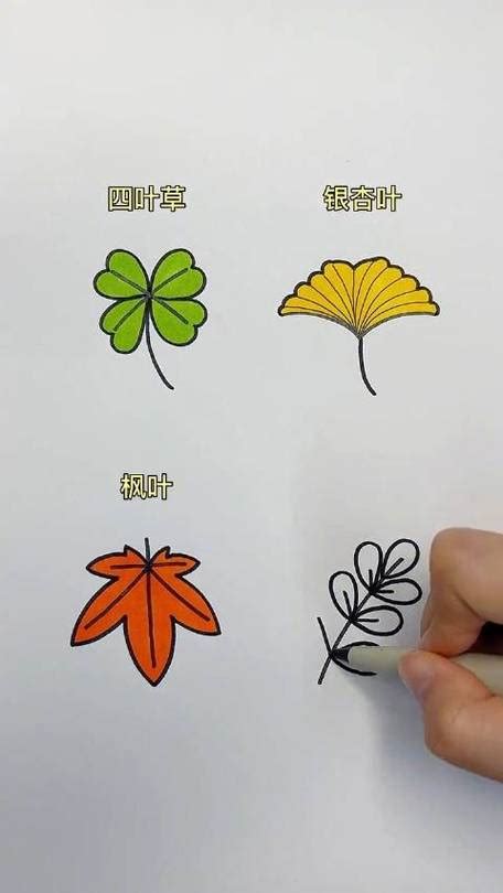 树叶的简笔画图片大全大图简单笔画（推荐15张） 简笔画图片大全