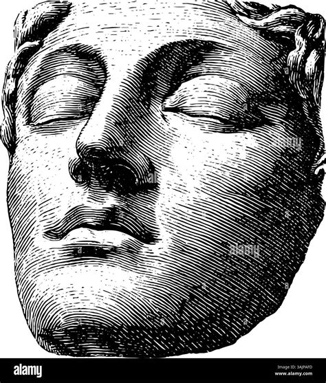 Intricate Black And White Engraving Of A Classical Greek Sculpture Face
