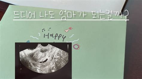 Vlog 난임 시험관 브이로그 30대 Amh 0점대 극난저 계류유산 후 Pgt 통과배아 이식 결과 Youtube