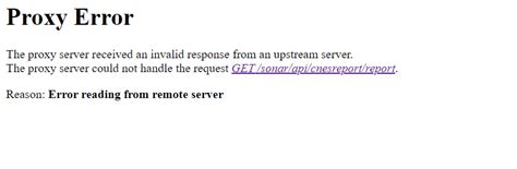 Unable To Generate Report Using Cnes Plugin In Sonarqube 79 Lts